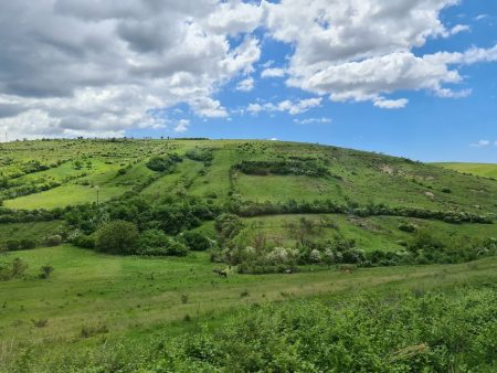 Excursie pe la cramele din Dealu Mare