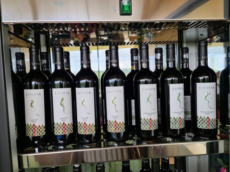 Excursie pe la cramele din Dealu Mare