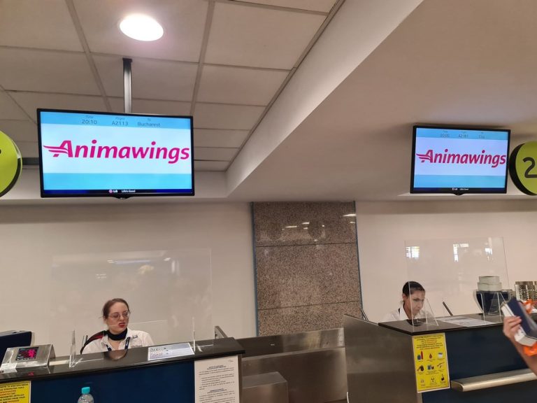 Airline Review – Animawings, filiala lui Aegean Airlines din Romania